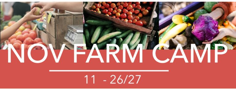 novfarmcamp2022 | KOA Japan | 学童の新しいカタチ